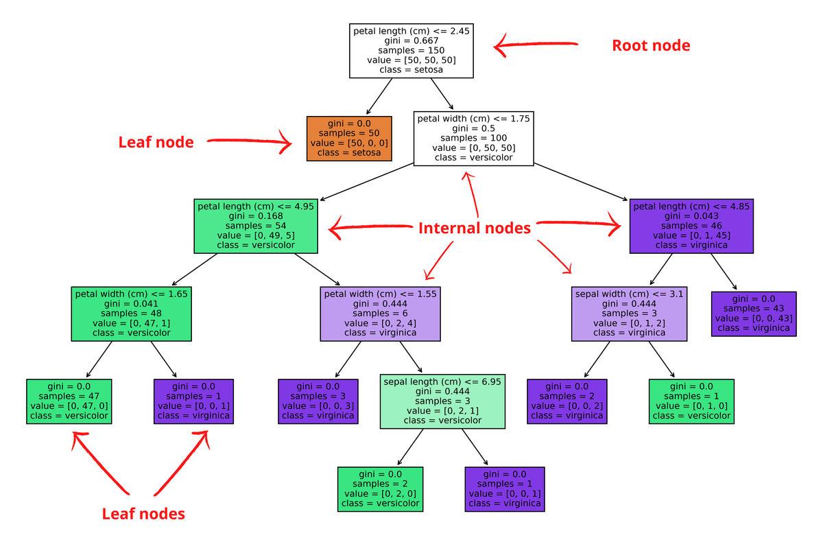 Intro to classification trees | Levi