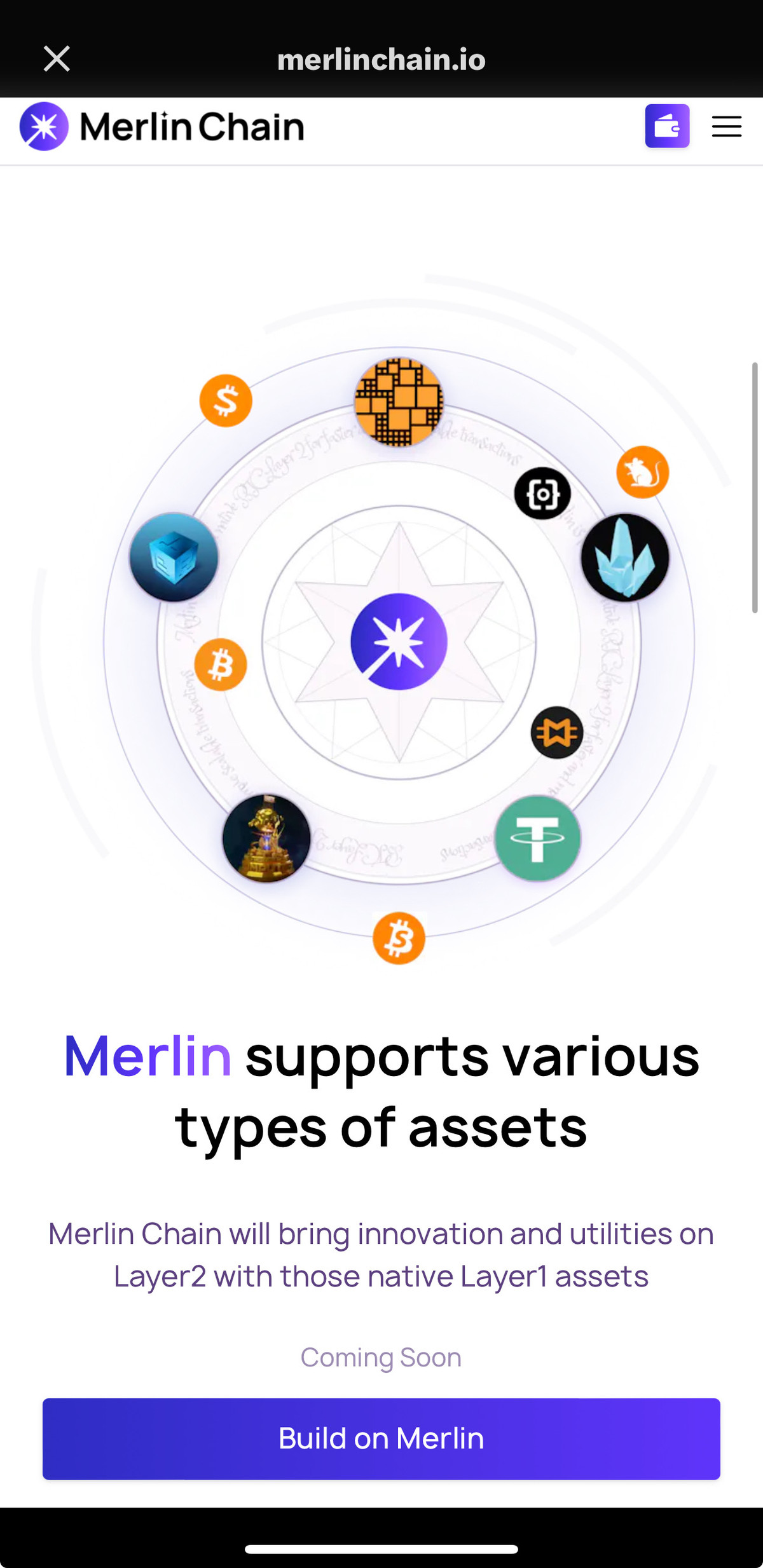 Merlin Chain: A Deep Dive into Bitcoin's Layer 2 Solution | EarthDeFIRE